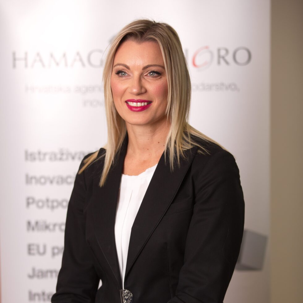 Zagreb Connect - ZICER